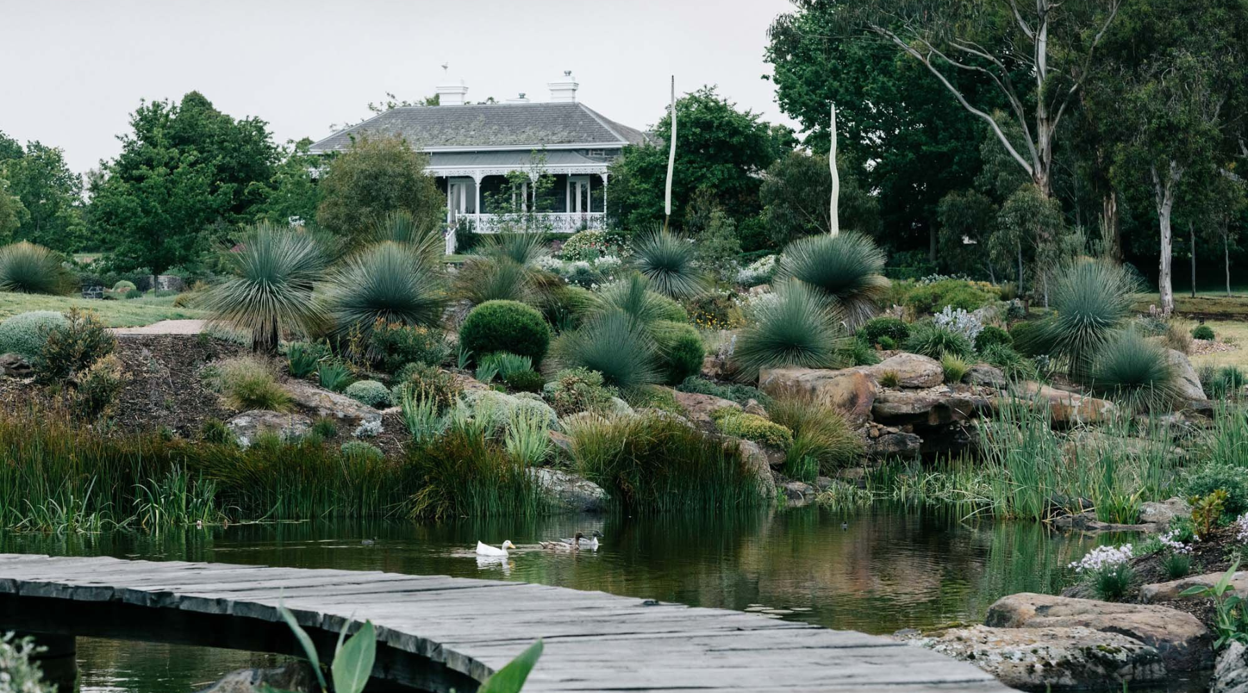 Creating a Waterwise Garden - KMLD - Kathleen Murphy Landscape Design